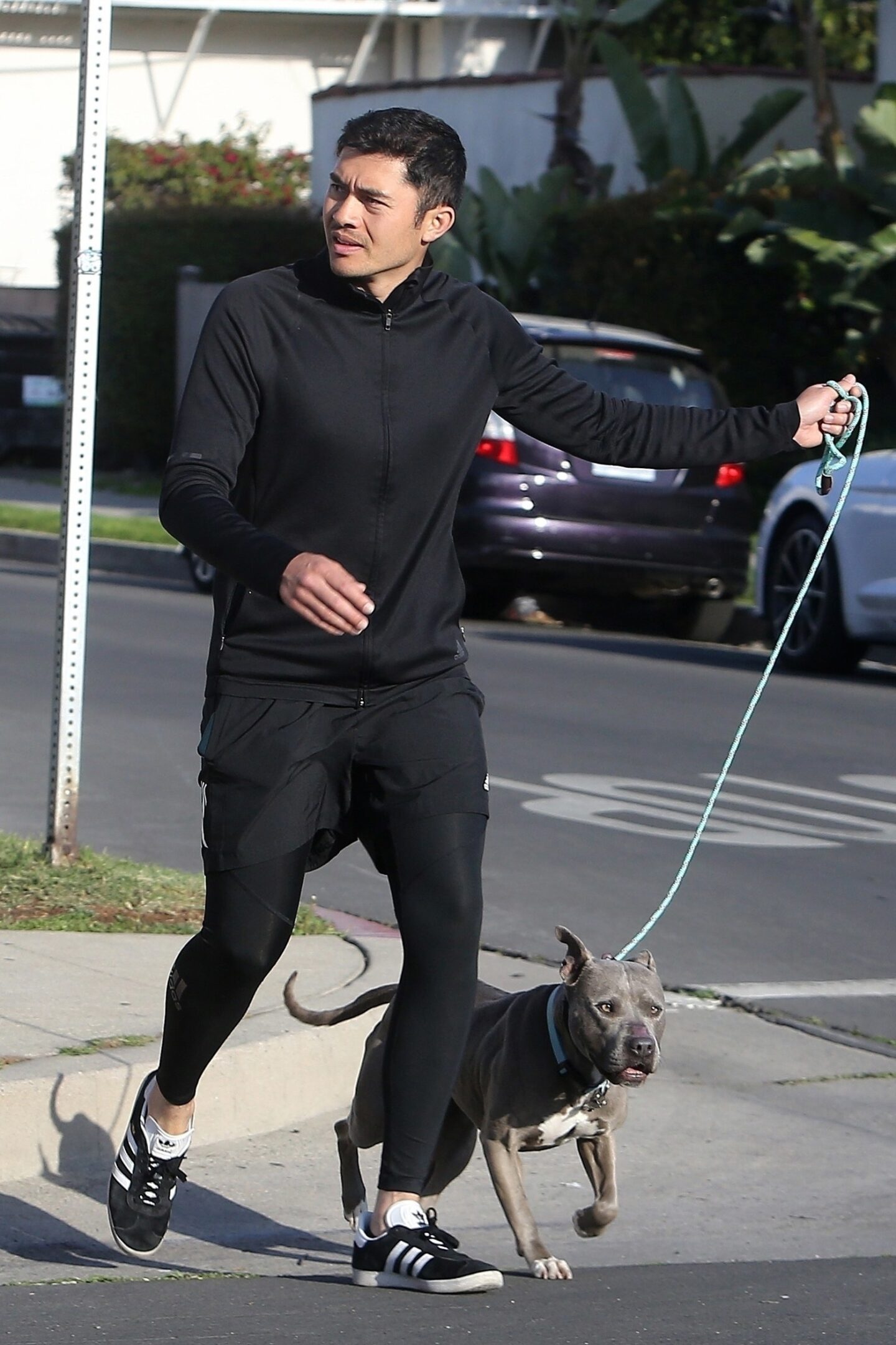 20 Best Dog Walking Outfits For Men with Tips