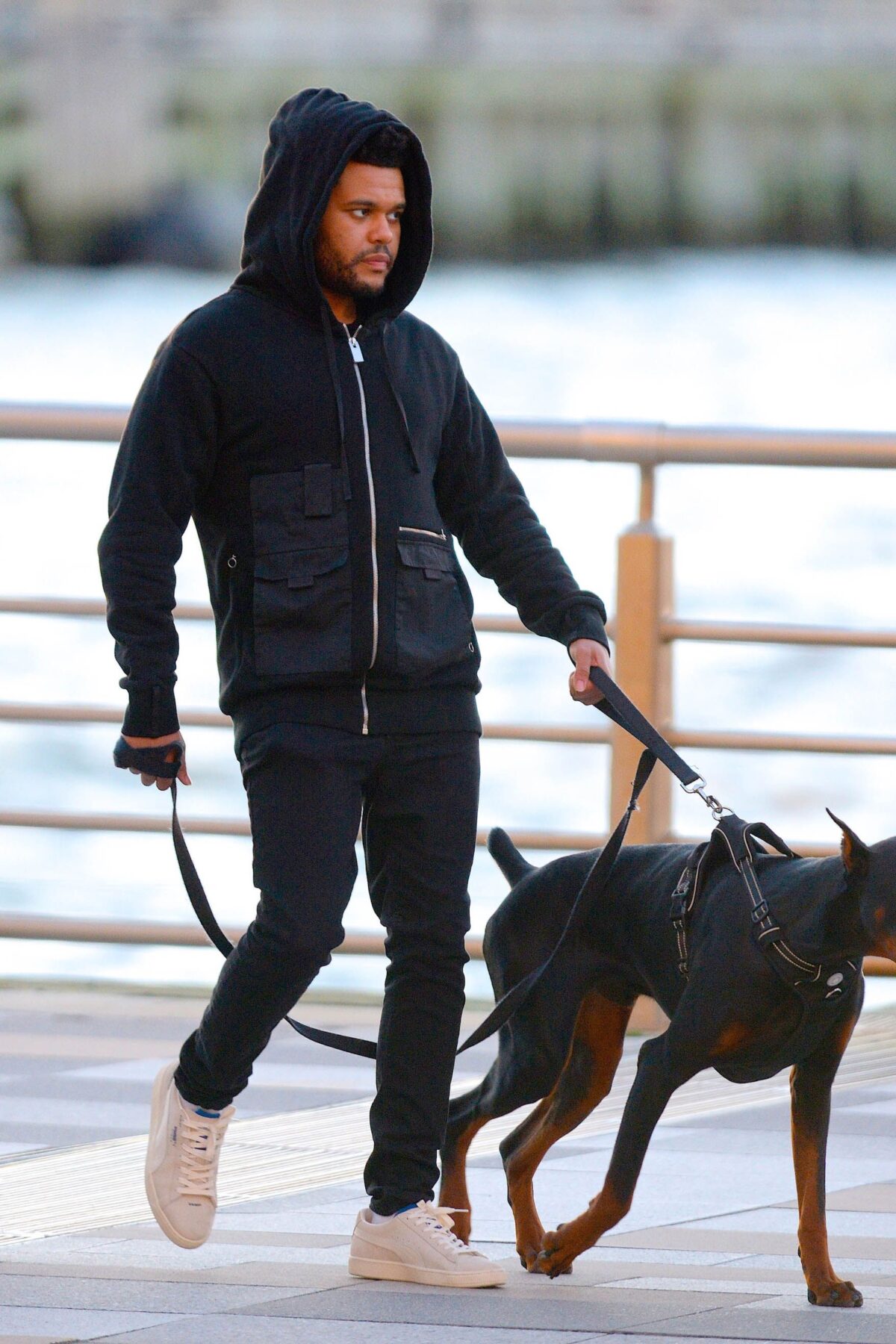 20 Best Dog Walking Outfits For Men with Tips