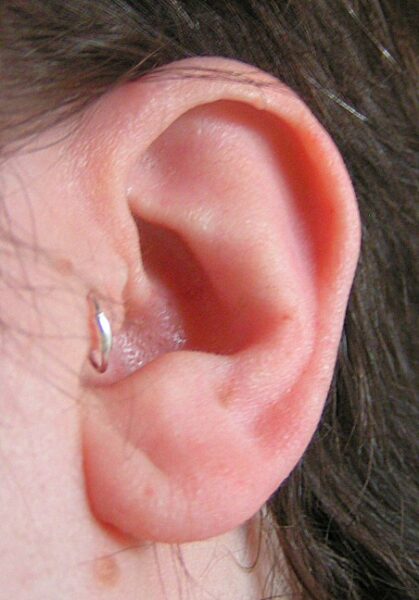Tragus Piercing Guide – Everything You need to Know – Outfit Trends
